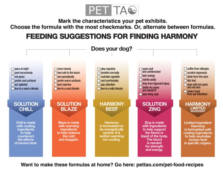 Eastern Food Therapy for Pets Made Easy - PET | TAO